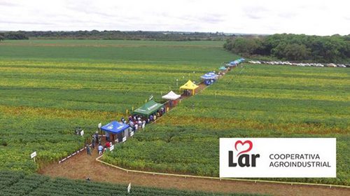 WETCIT® GOLD: Chega ao Brasil surfactante reconhecido mundialmente