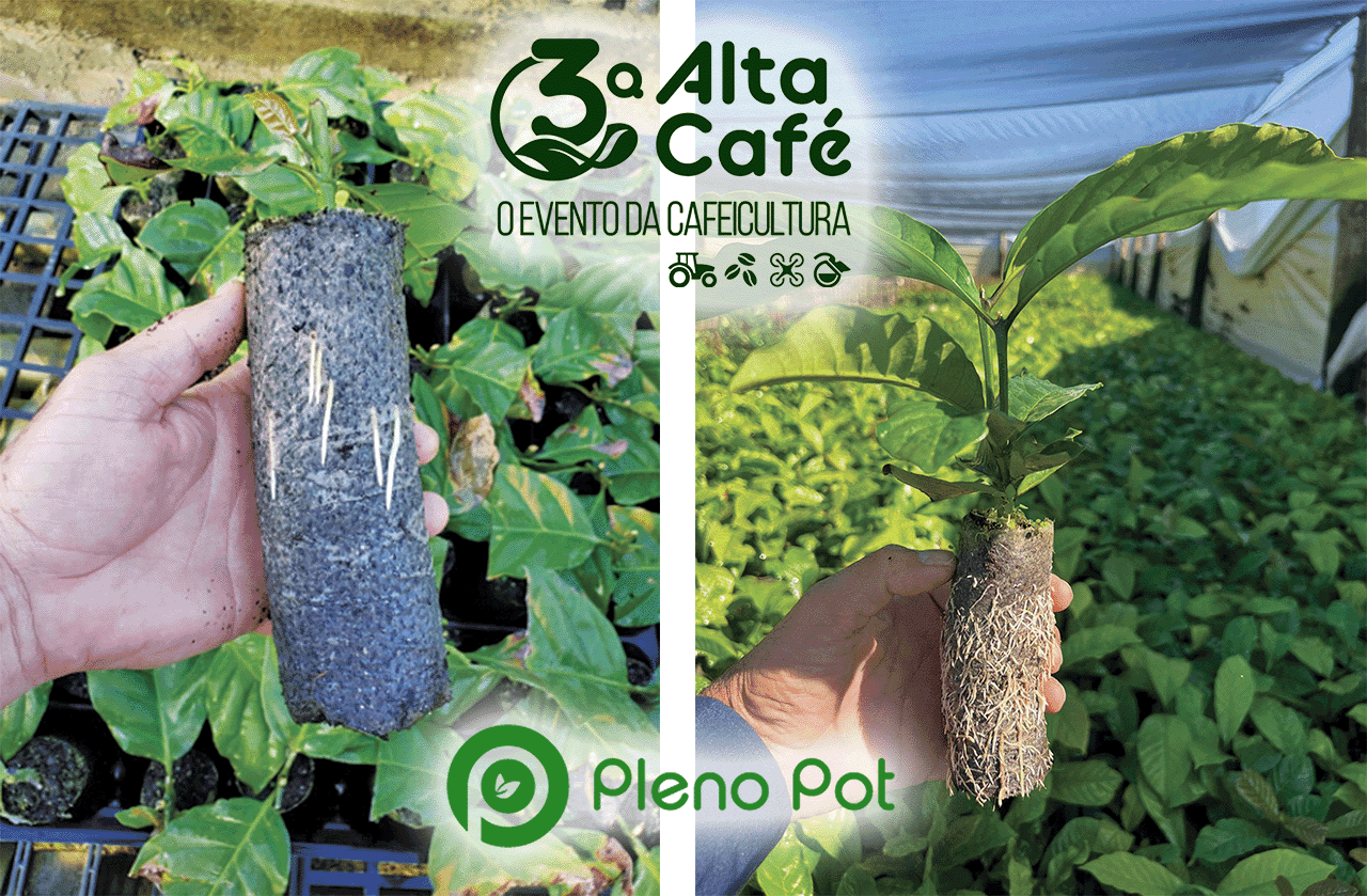 Pleno Pot na 3ª ALTA CAFÉ: paperpots para mudas de café
