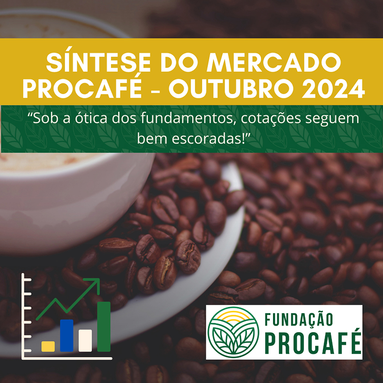 [Fundação Procafé] – Síntese do Mercado de Café: Out/24
