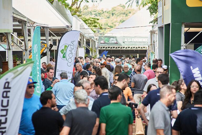 6ª ALTA CAFÉ: Metade das áreas já foram comercializadas